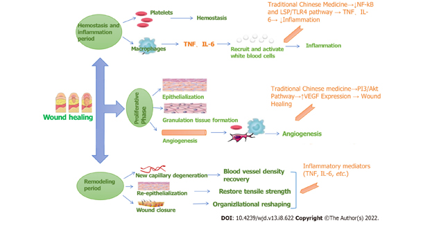 World Journal of Virology - Baishideng Publishing Group