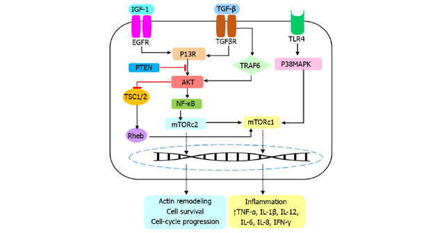 World Journal of Pharmacology - Baishideng Publishing Group
