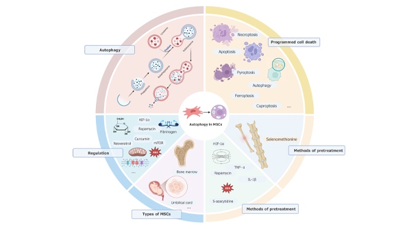 World Journal of Stem Cells - Baishideng Publishing Group