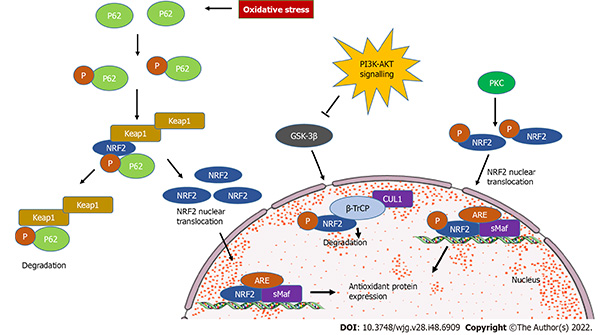 World Journal of Gastroenterology - Baishideng Publishing Group