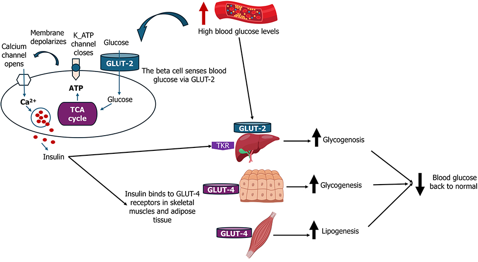 World Journal of Gastroenterology - Baishideng Publishing Group